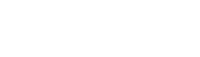 Program - Saranam